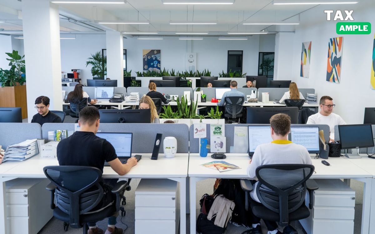 REGISTERED OFFICE SERVICES